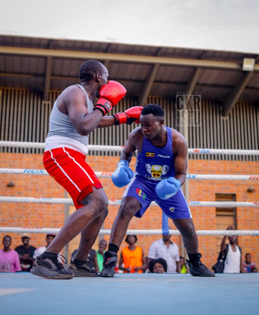UBF registers record turnout at National Intermediate Boxing ...